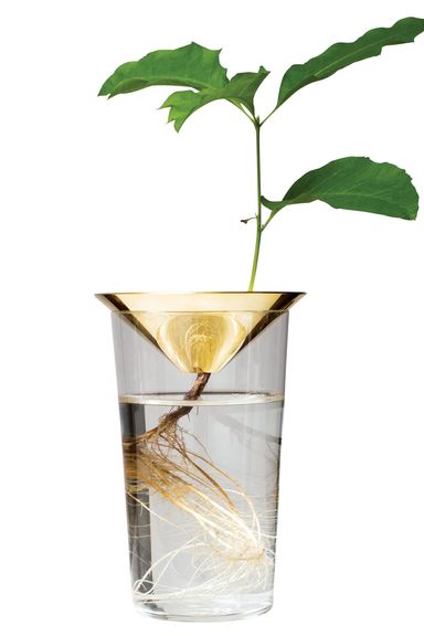 50 Beautiful-Yet-Functional Gifts for the Home