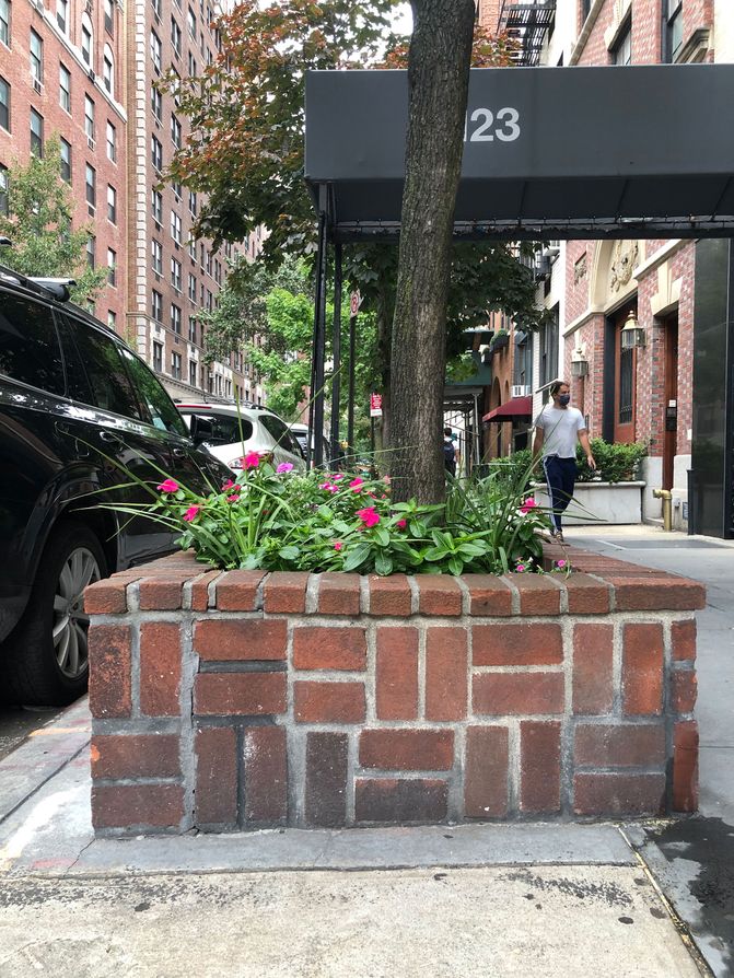 New York City’s Tree Pit Gardens