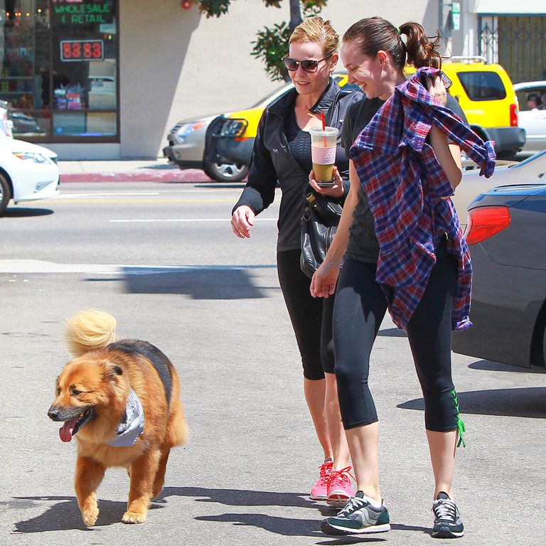 33 Celebrity Pets With Big Personalities