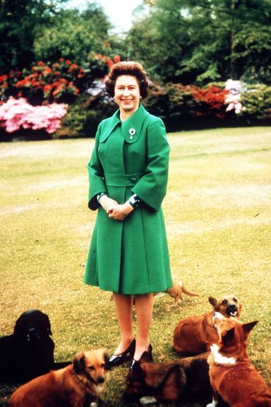 See Queen Elizabeth With Corgis, a Panda, Elephants, and Other Animals