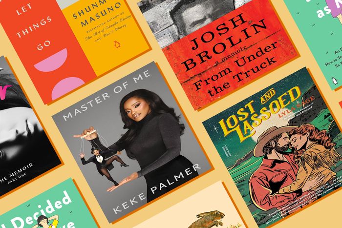 Best New Audiobooks of 2024 (So Far): November