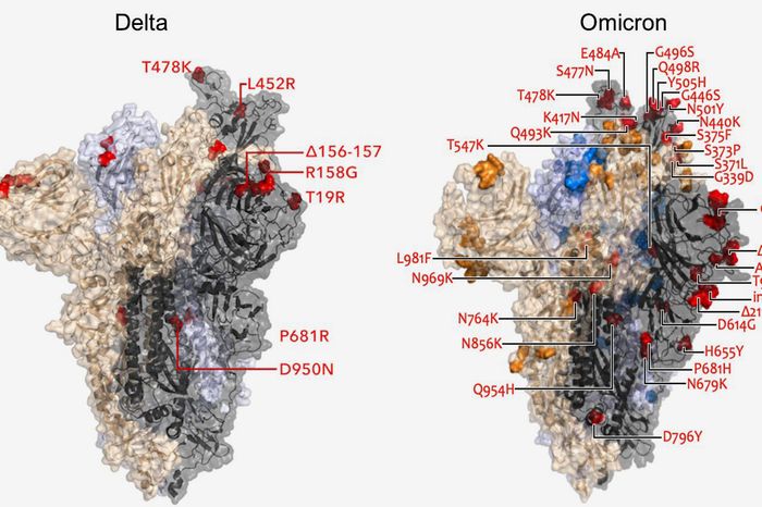 A Variant Hunter on Omicron’s ‘Tectonic Shift’