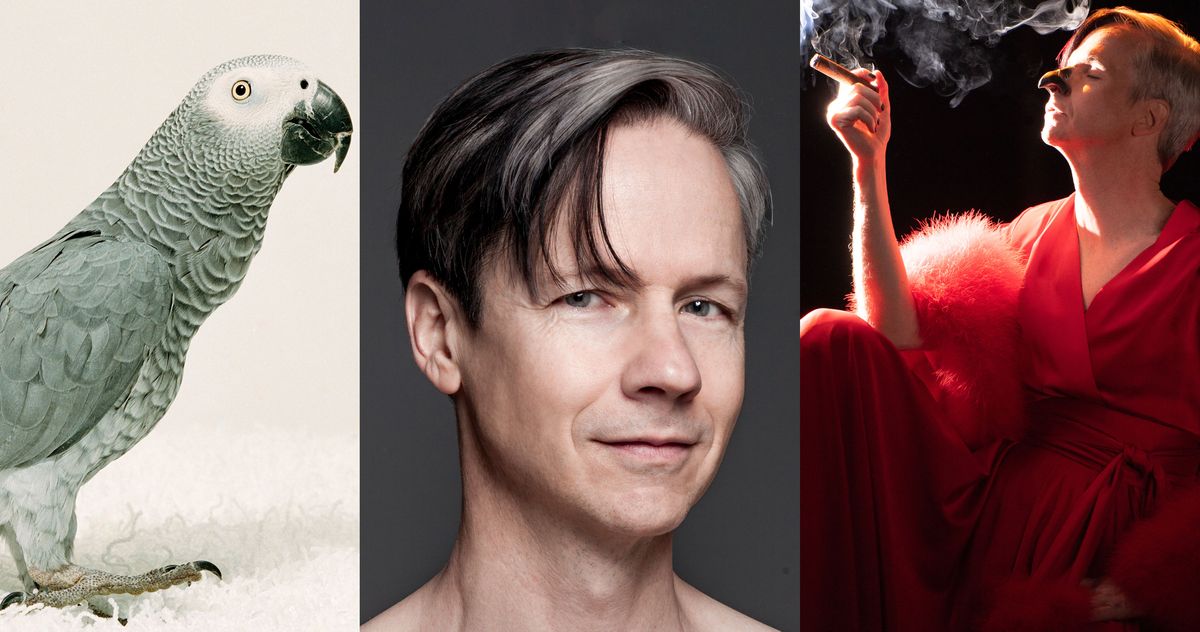 On Yellowjackets, John Cameron Mitchell Plays a Mean Parrot