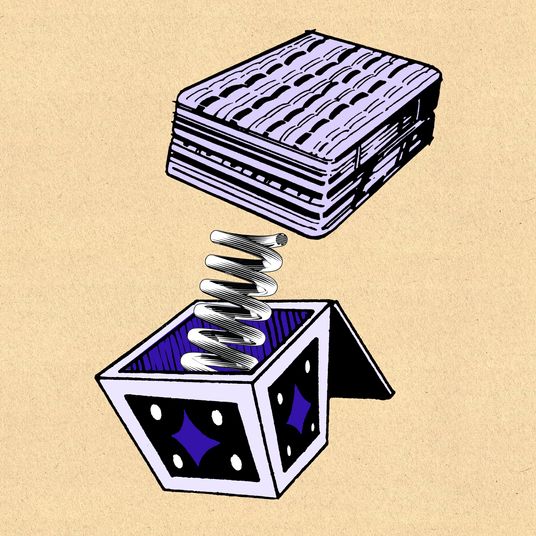 7 Best Box Springs of 2024 | The Strategist