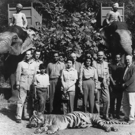 See Queen Elizabeth With Corgis, a Panda, Elephants, and Other Animals