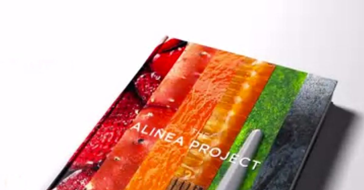 Guy Who Cooked the Entire Alinea Cookbook Wrote a Beautiful-Looking ...