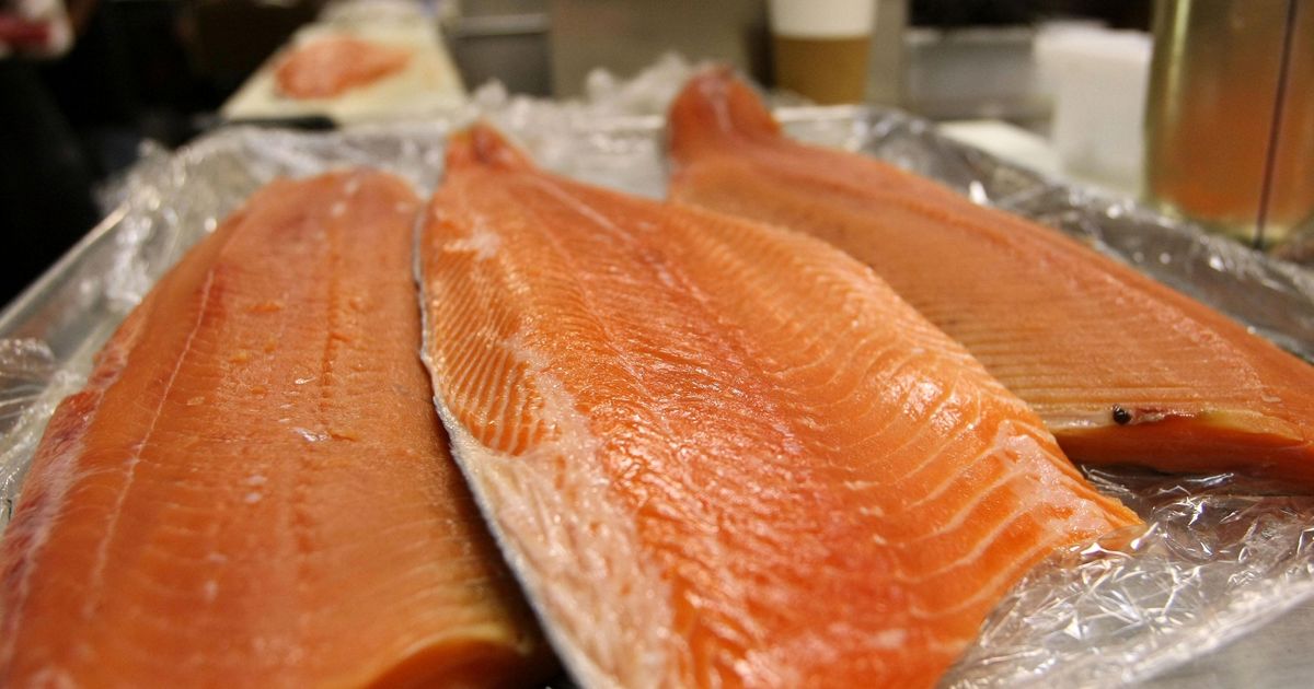 The FDA Just Approved Genetically Modified Salmon for Human Consumption