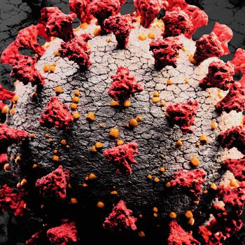 What to Know About the New COVID Mini-Wave