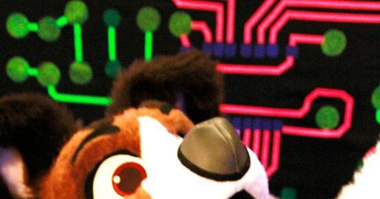 Q&A: After Poison-Gas Attack, a Furry Speaks