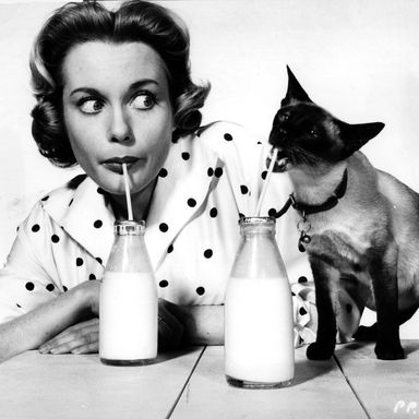 The 50 Most Fabulous (and Famous) Cat Ladies of All Time