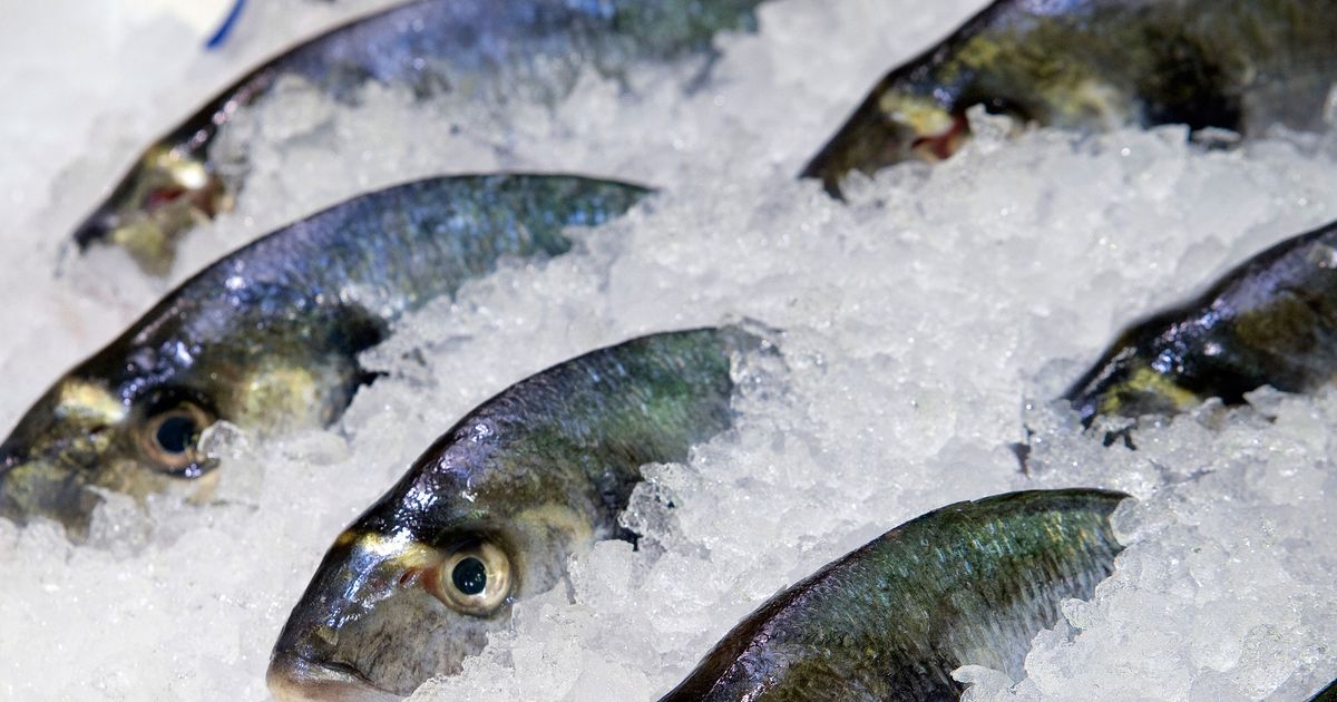 New York Chefs Now Required to Freeze Raw Fish, Changing Not Much at All