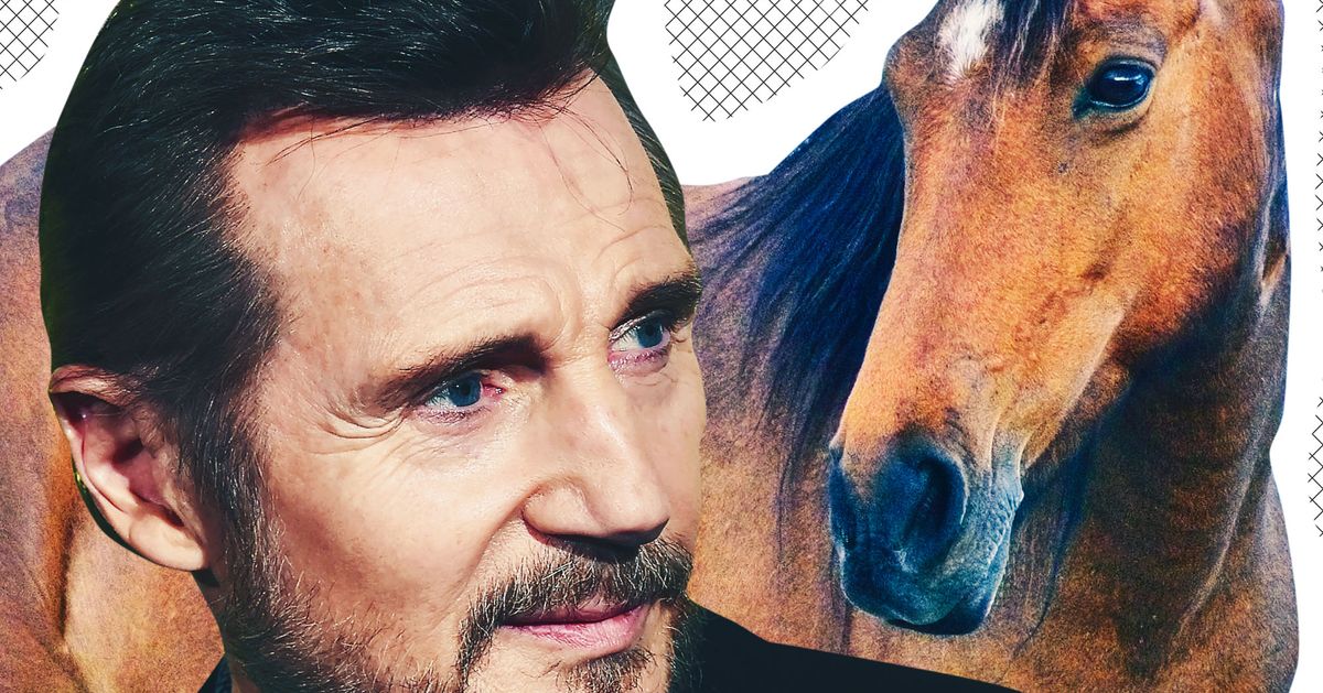 Liam Neeson Says a Horse From His New Movie Already Knew Him