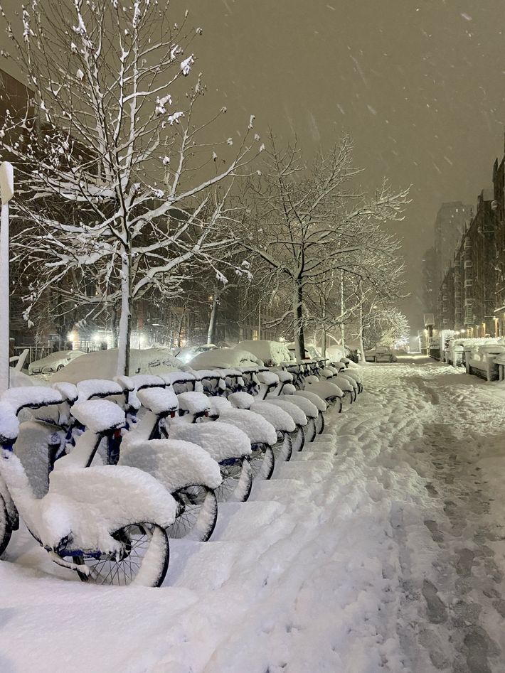 Scenes From Your Blizzard: Photos of Snow-Covered NYC