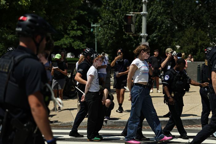 Trans Protesters Were Arrested in Front of the Supreme Court
