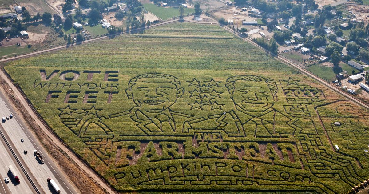 President Obama and Mitt Romney Face Off in Giant Idaho Corn Maze