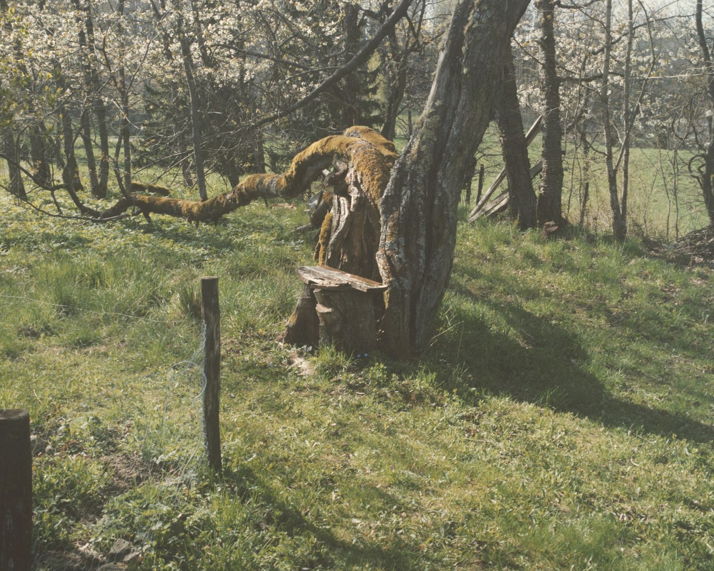 First Looks: Martina Hoogland Ivanow’s Photographs at the Hermès Foundation