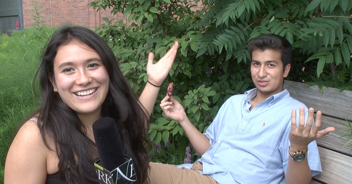 What a Couple’s ‘How We Met’ Story Says -- Science of Us