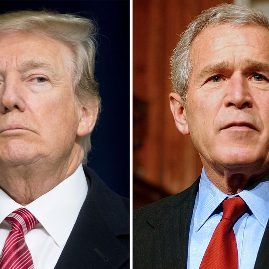 Nobody Is Sure How a Bronx Zoo Tiger Got Coronavirus