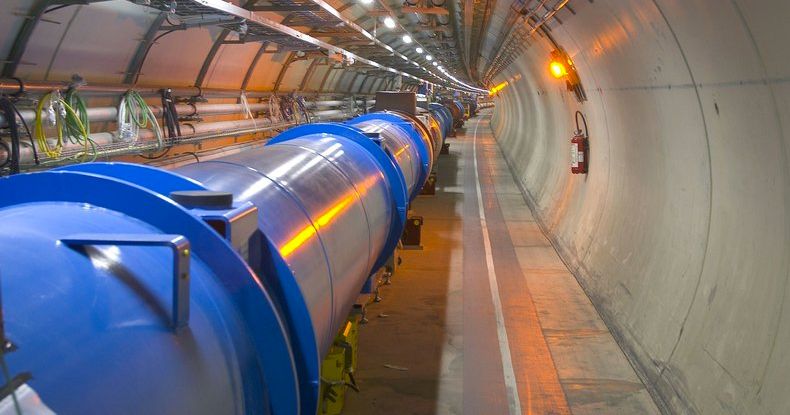 Weasel shuts down CERN particle collider