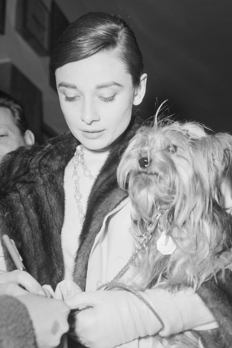 The Audrey Hepburn Look Book