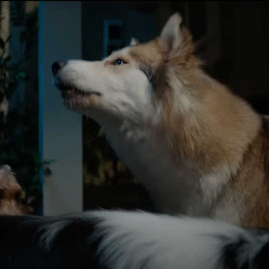 HBO’s Watchmen: The Best Easter Eggs and Comics References