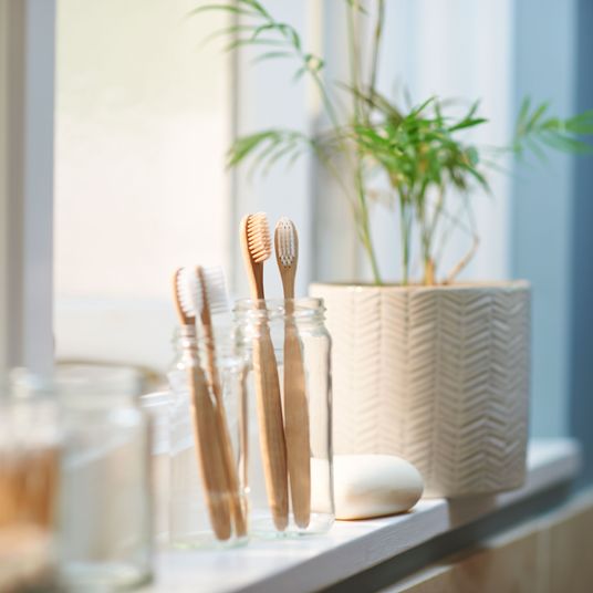 Doctor Plotka’s Mouthwatchers Toothbrush Review - 2019 | The Strategist