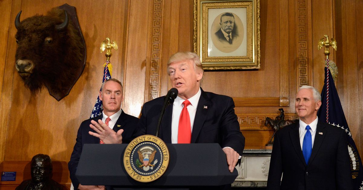 Trump’s War on Wildlife Should Be a Scandal