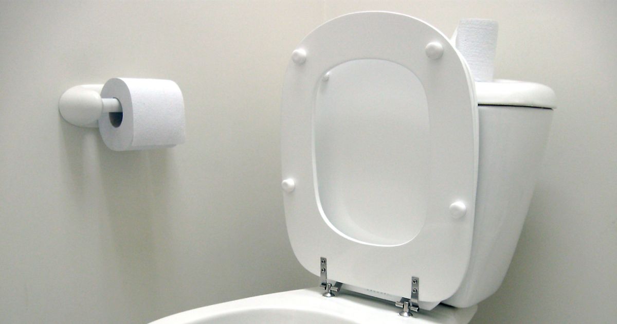 New Not Entirely Irrational Fear: Exploding Toilets
