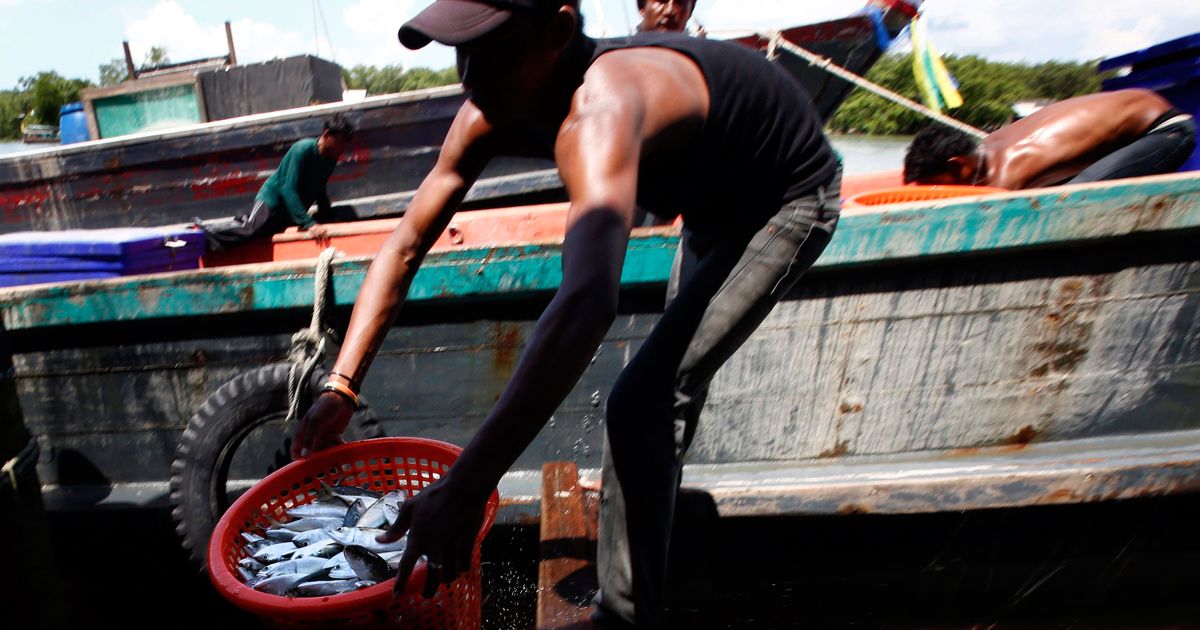 Horrific Details Continue to Emerge About Southeast Asia’s Fishing Slaves