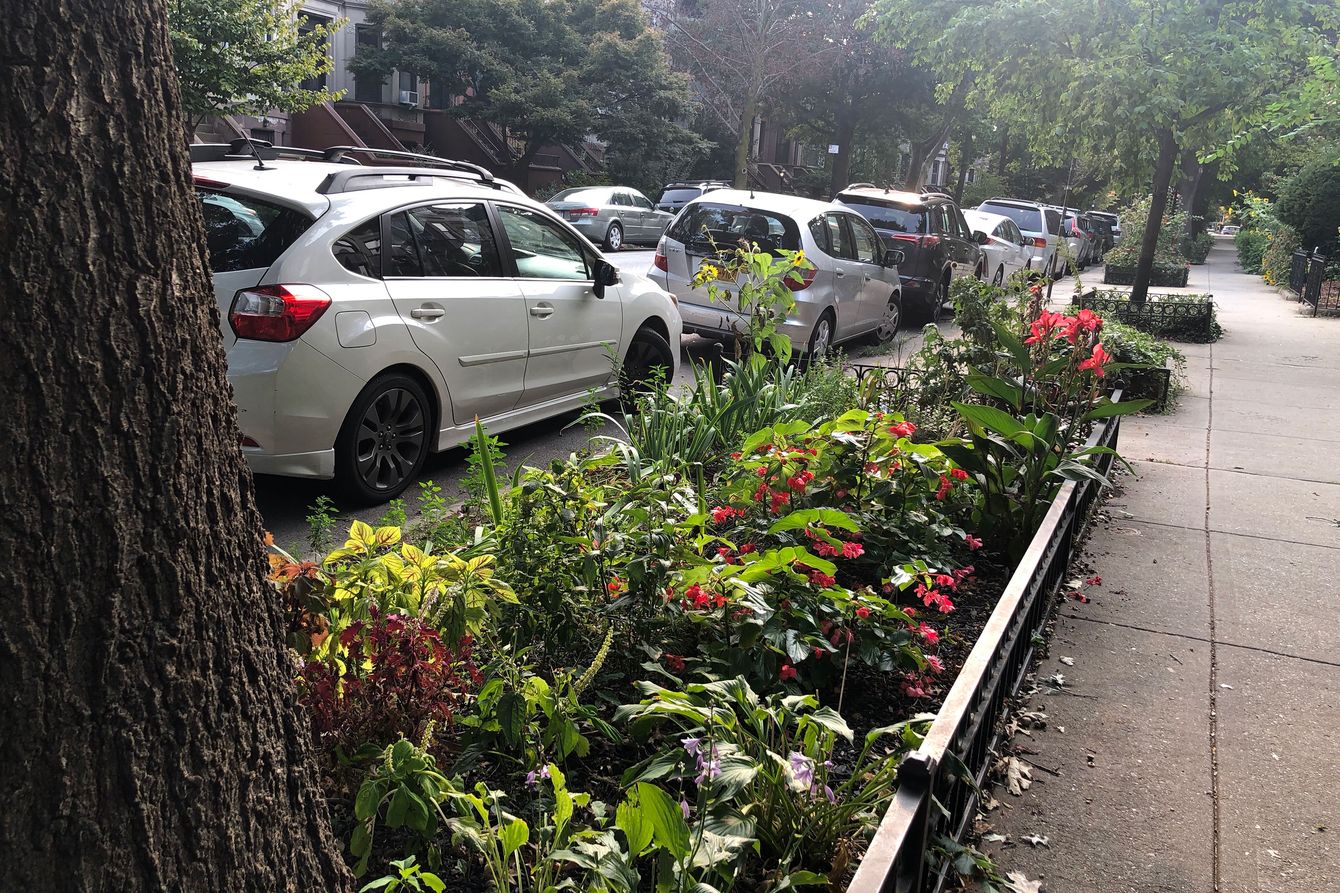 New York City’s Tree Pit Gardens