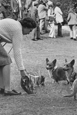 See Queen Elizabeth With Corgis, a Panda, Elephants, and Other Animals