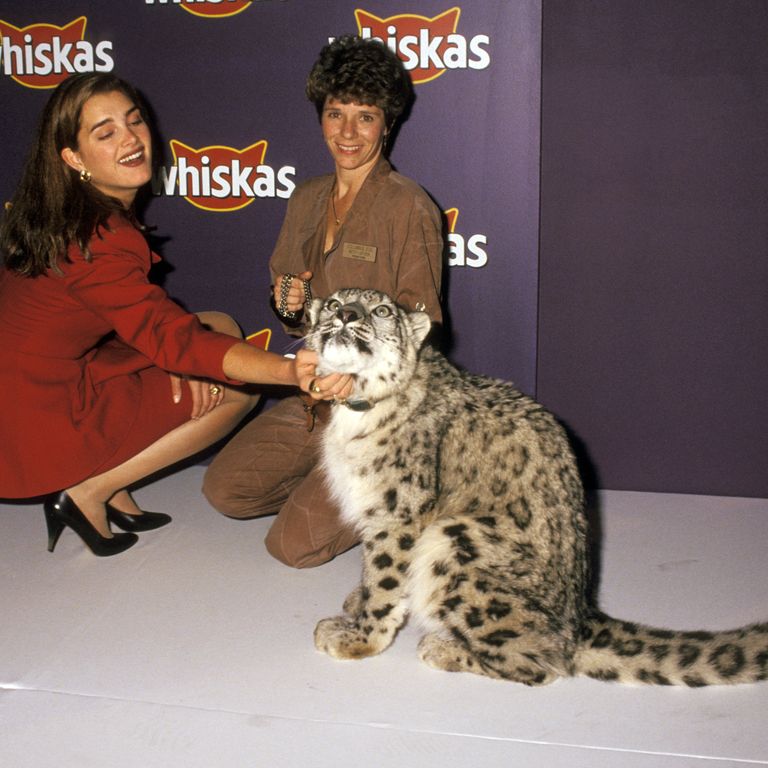 The 50 Most Fabulous (and Famous) Cat Ladies of All Time