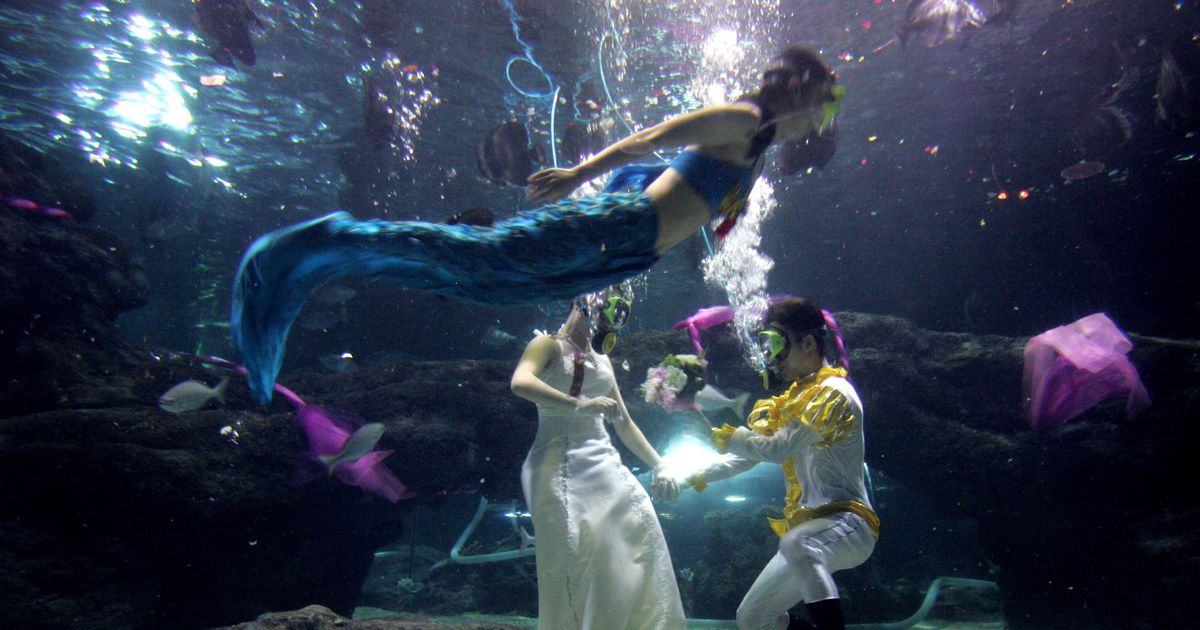 A Mermaid Wedding for Your Aquatic Love Fantasy