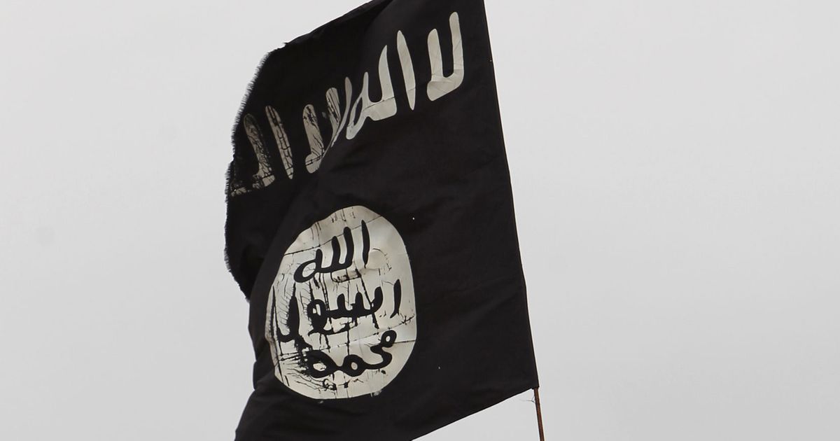 ‘Do You Prefer Fighting or Suicide Bombing?’: Thousands of ISIS Job ...