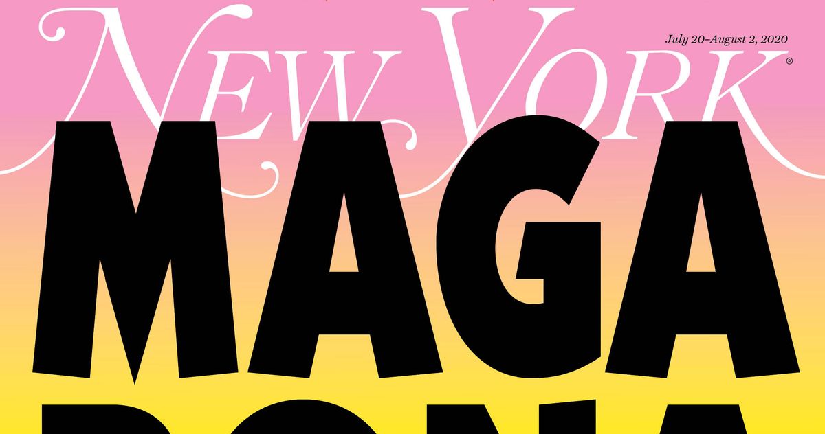 On the Cover of New York Magazine: Protest Art by Paul Chan -- New York ...