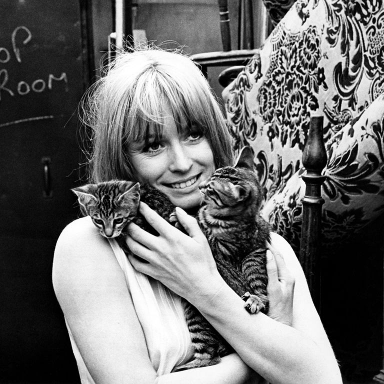 The 50 Most Fabulous (and Famous) Cat Ladies of All Time