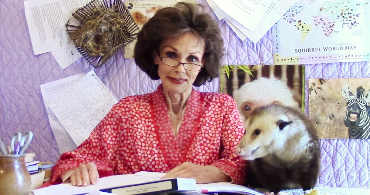 All YouTubers Pale in Comparison to the ‘Opossum Lady’