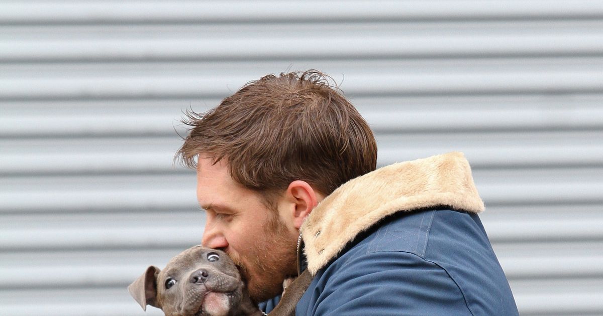 How to Hug a Puppy, by Tom Hardy