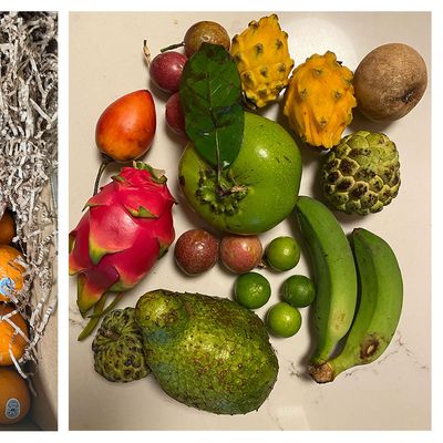What Your Valentine Really Wants Is Fancy Fruit | The Strategist
