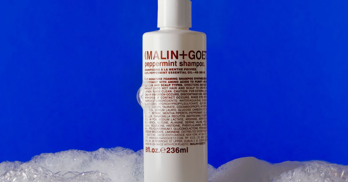 17 Best Shampoos | The Strategist
