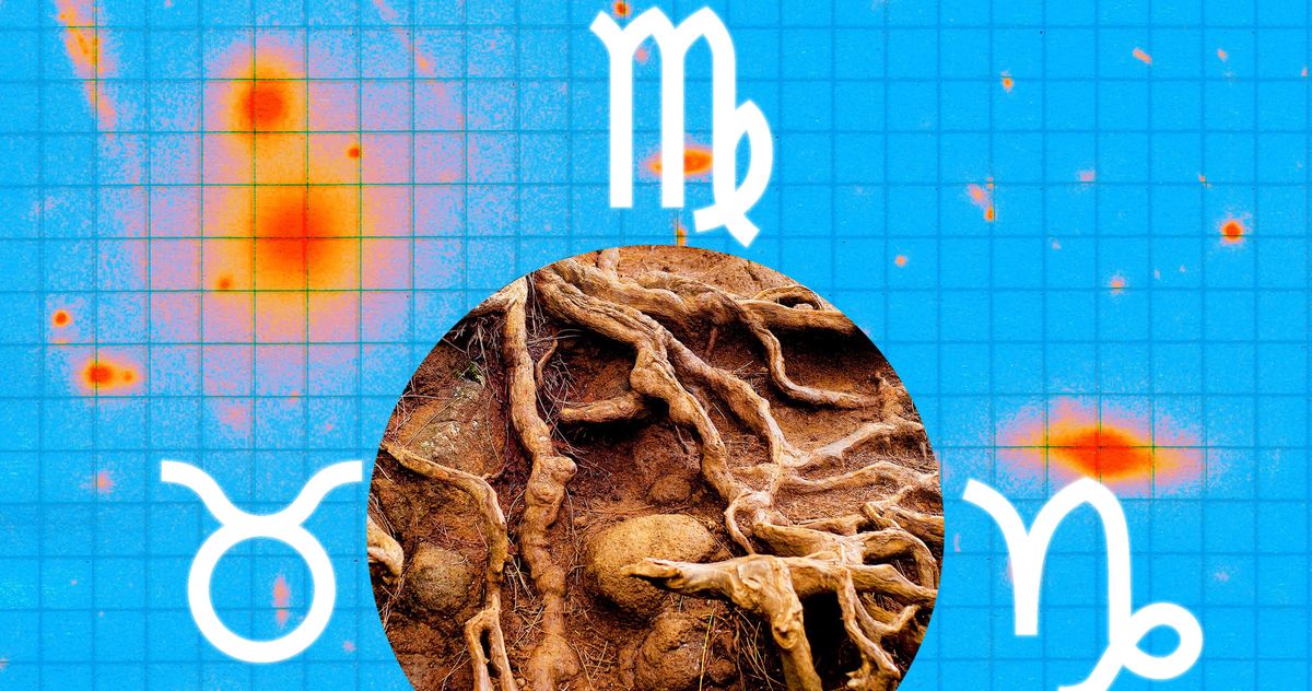 A Guide to the Earth Signs: Taurus, Virgo, and Capricorn