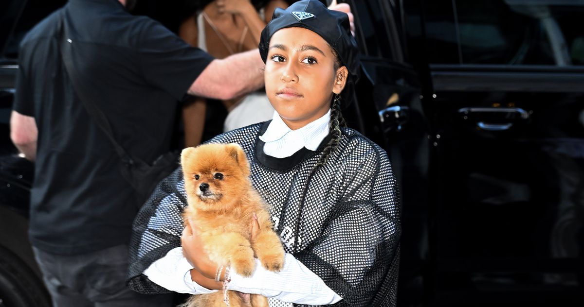 North West Is Rapping in Japanese on FKA Twigs’s Album