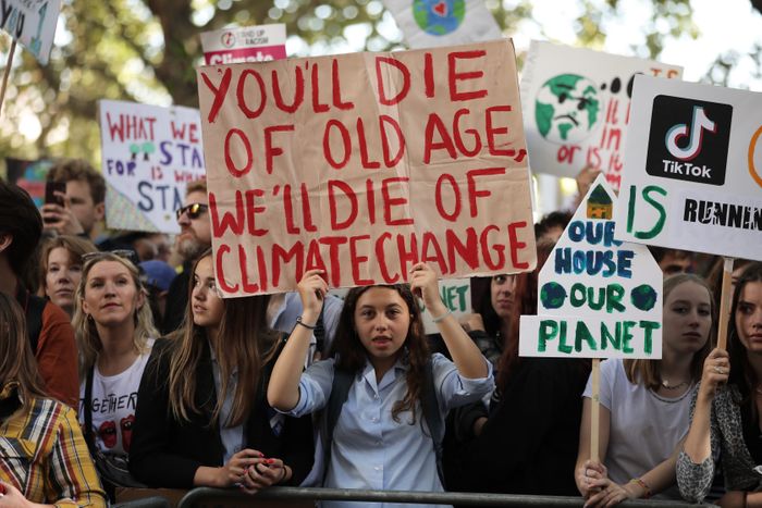 Climate Strike 2019: The Best Protest Signs