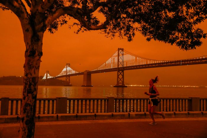 Terrifying Orange Skies from the California Fires