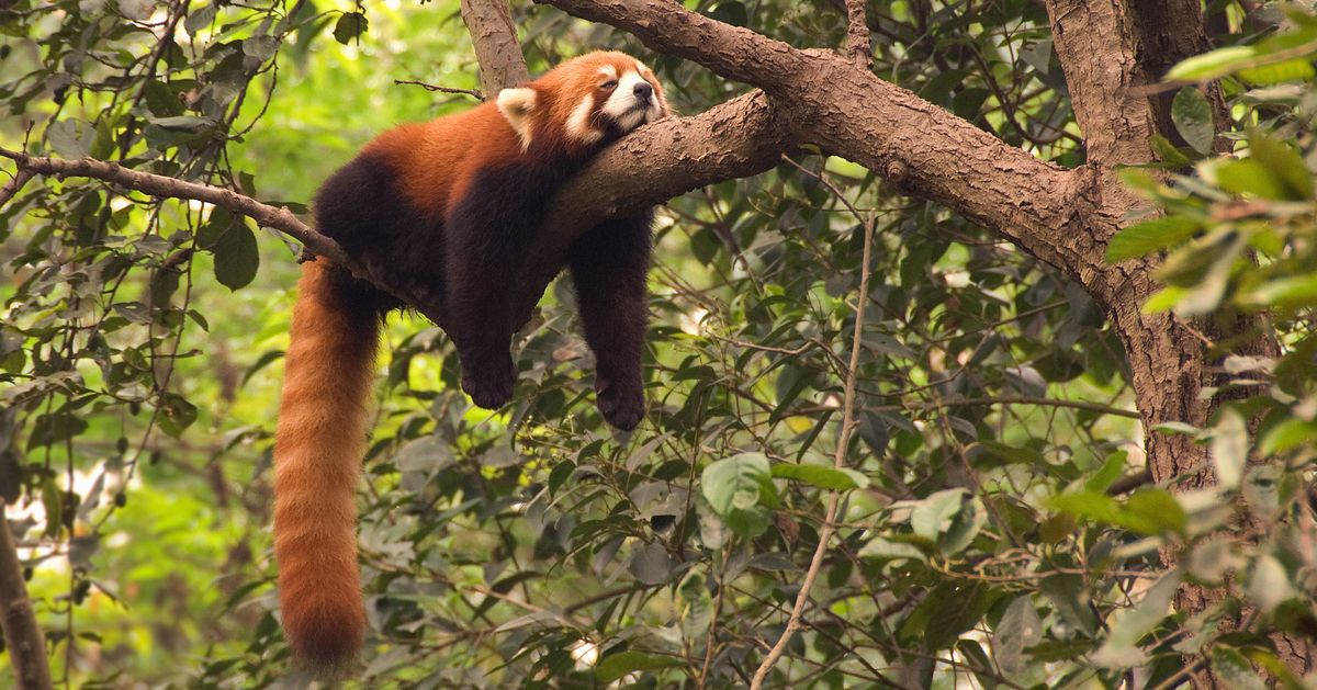 Ask Polly: ‘I Work Too Hard and I’m Miserable!’