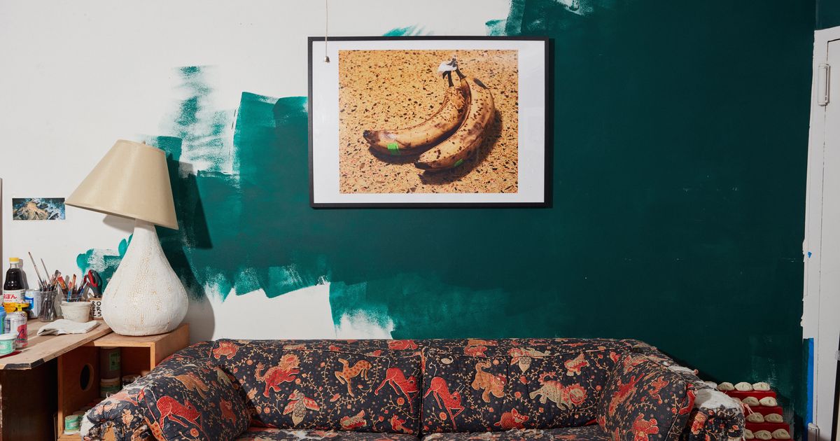 Tour Artist Stephanie H Shih’s Colorful Carroll Gardens Home