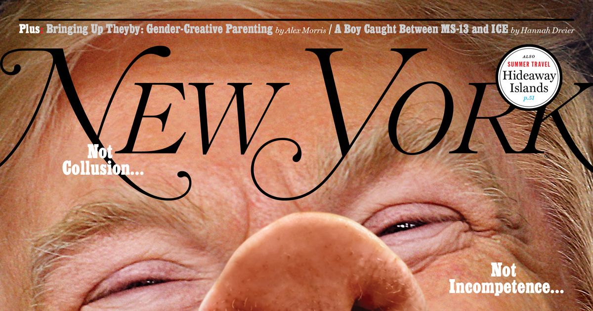 On The Cover of New York: It’s The Corruption, Stupid -- New York Media ...