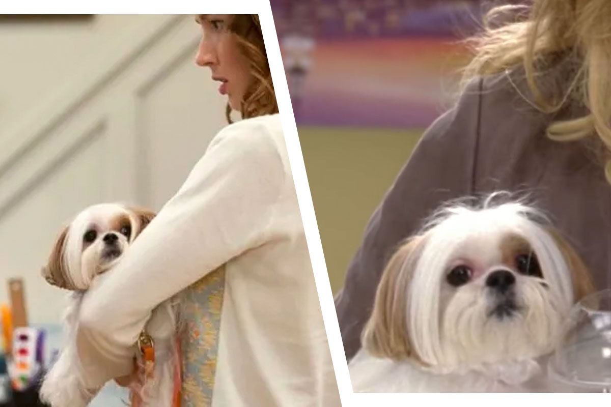 Tina Fey’s Favorite Actors, From 30 Rock to Girls5eva