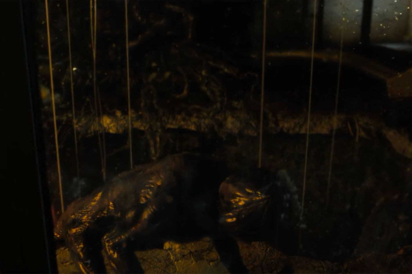 Stranger Things 2: Every Major Pop-Culture Reference