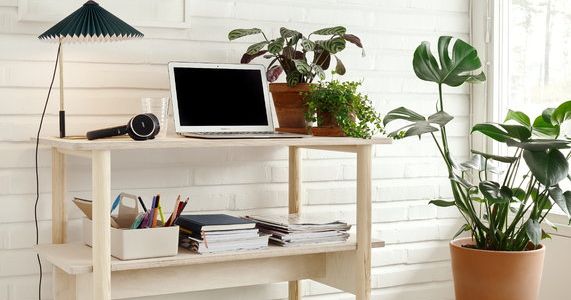 11 Best Standing Desks 2020 | The Strategist